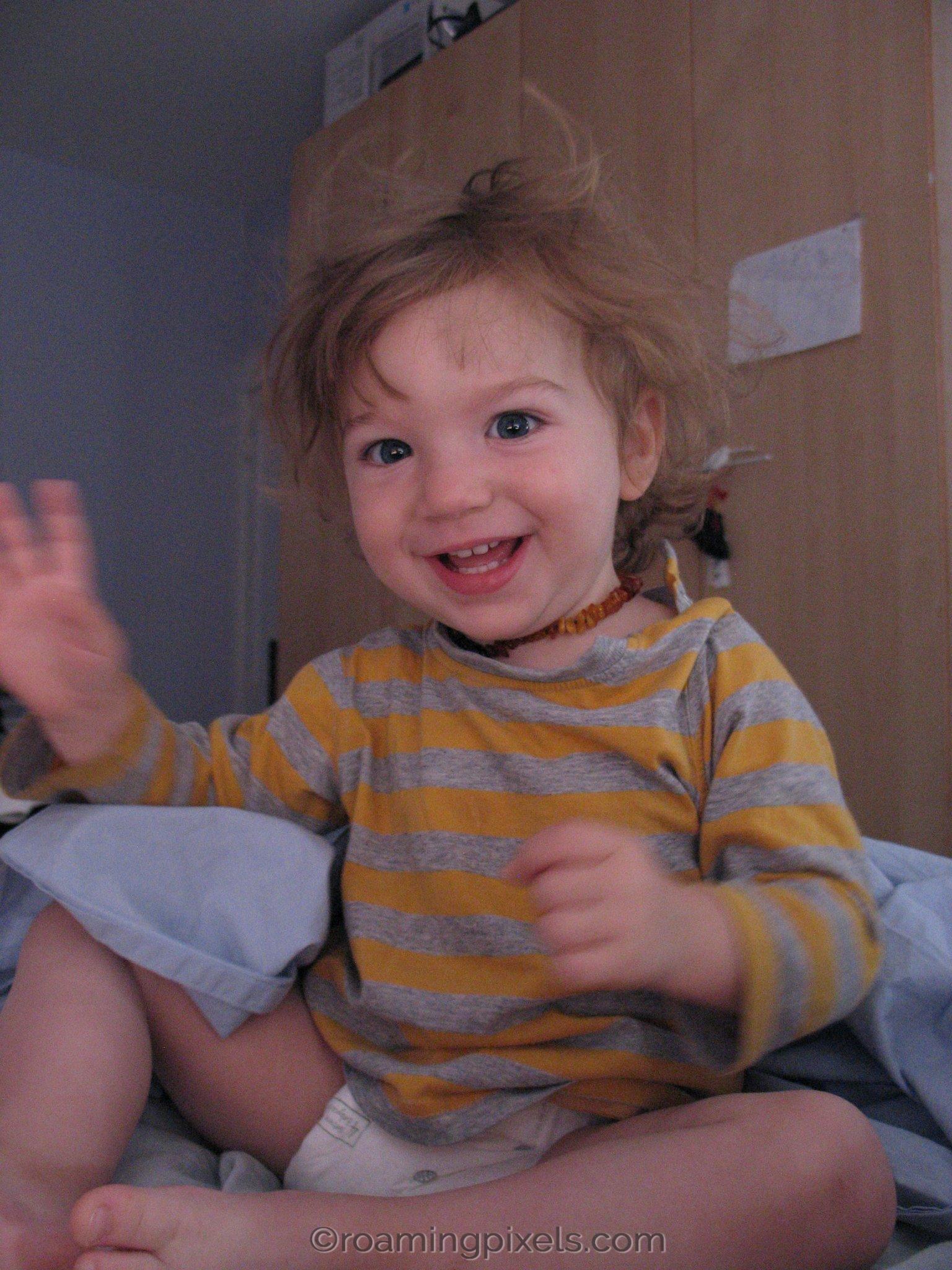 Delighted Asher – Roaming Pixels